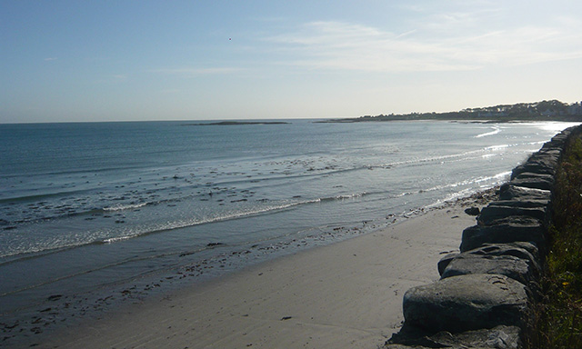 Welcome to Royal Caribbean International