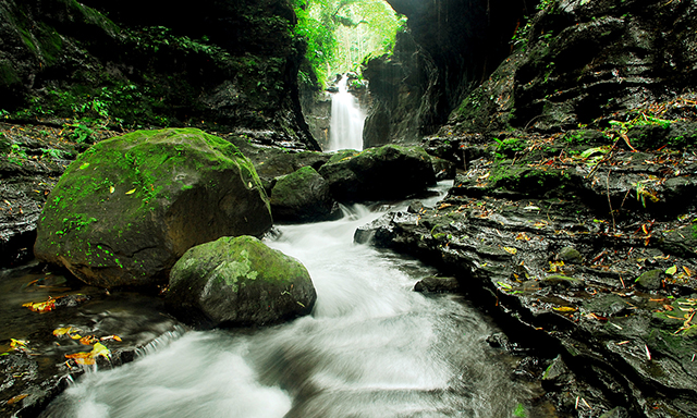 Enchanting Hidden Valley From Manila Hidden Valley Day