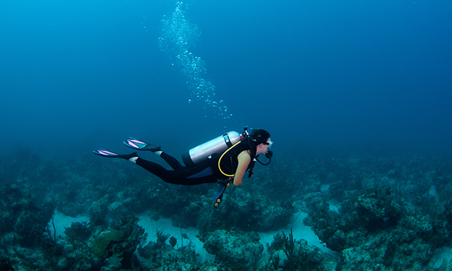 Welcome to Royal Caribbean International